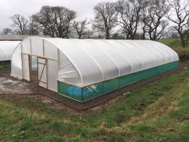 30ft Wide Commercial Polytunnels - Premier Polytunnels